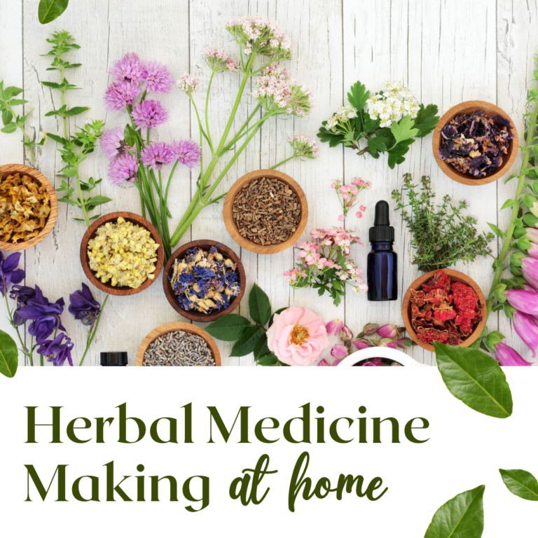 Herbal Medicine Making at Home Class - Eli Camp ND